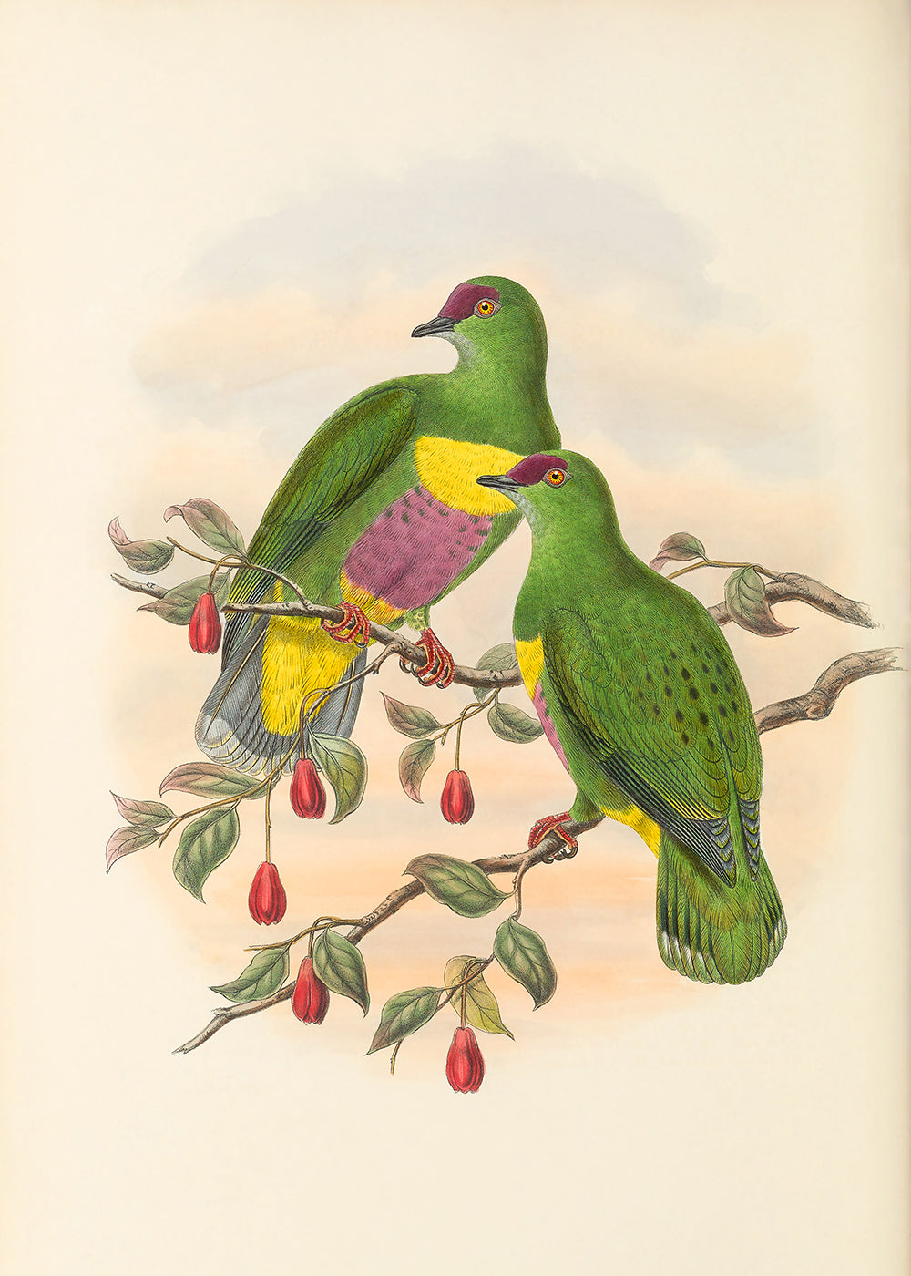 Green Bird 3 – Pictured